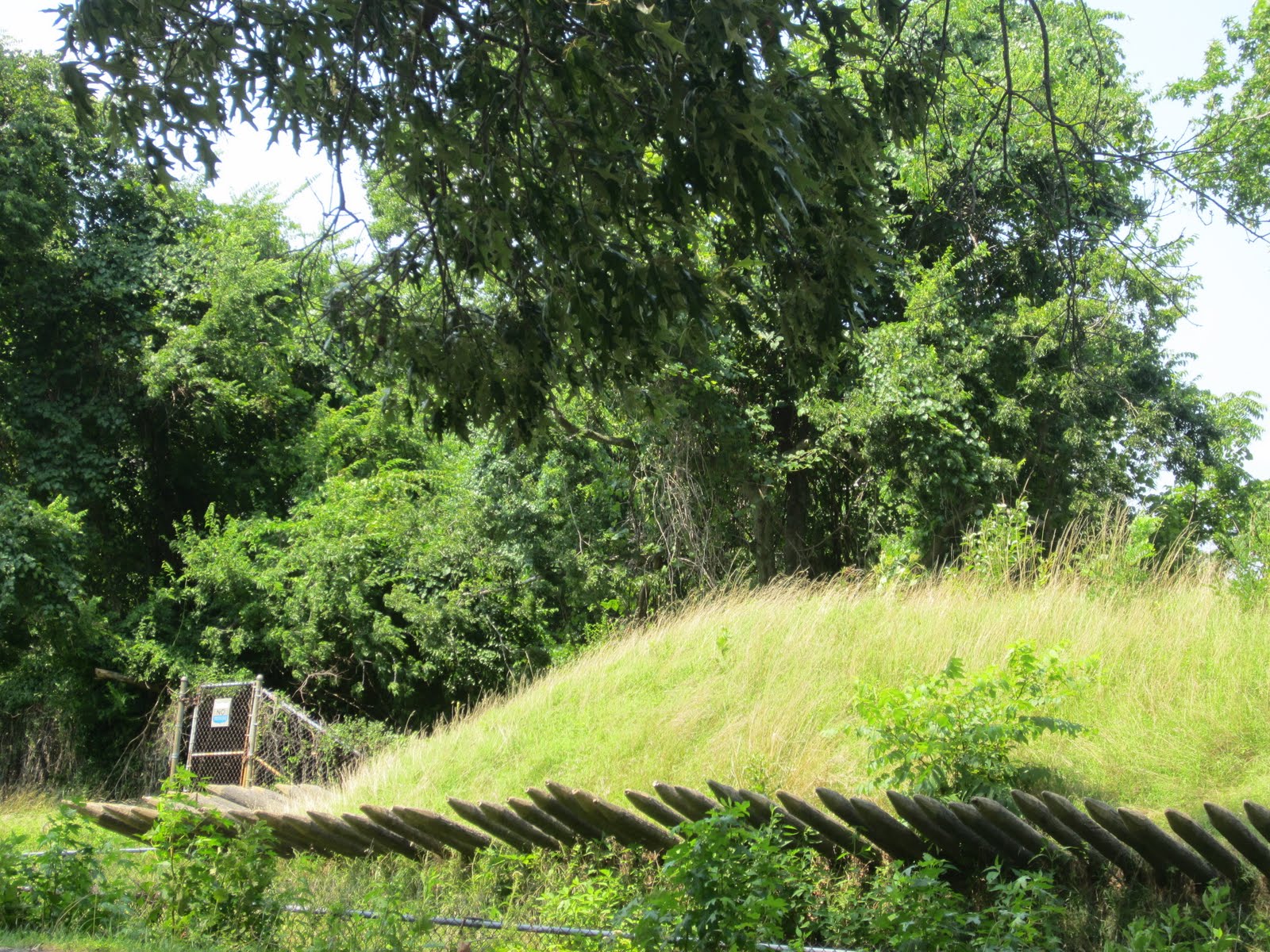 Revolutionary, My Dear George!: Yorktown