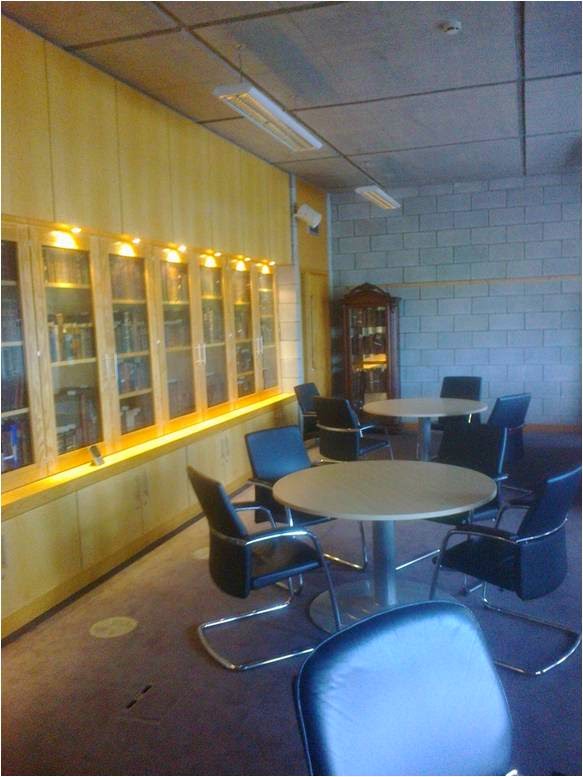 Waterford Archaeological & Historical Society: 2014