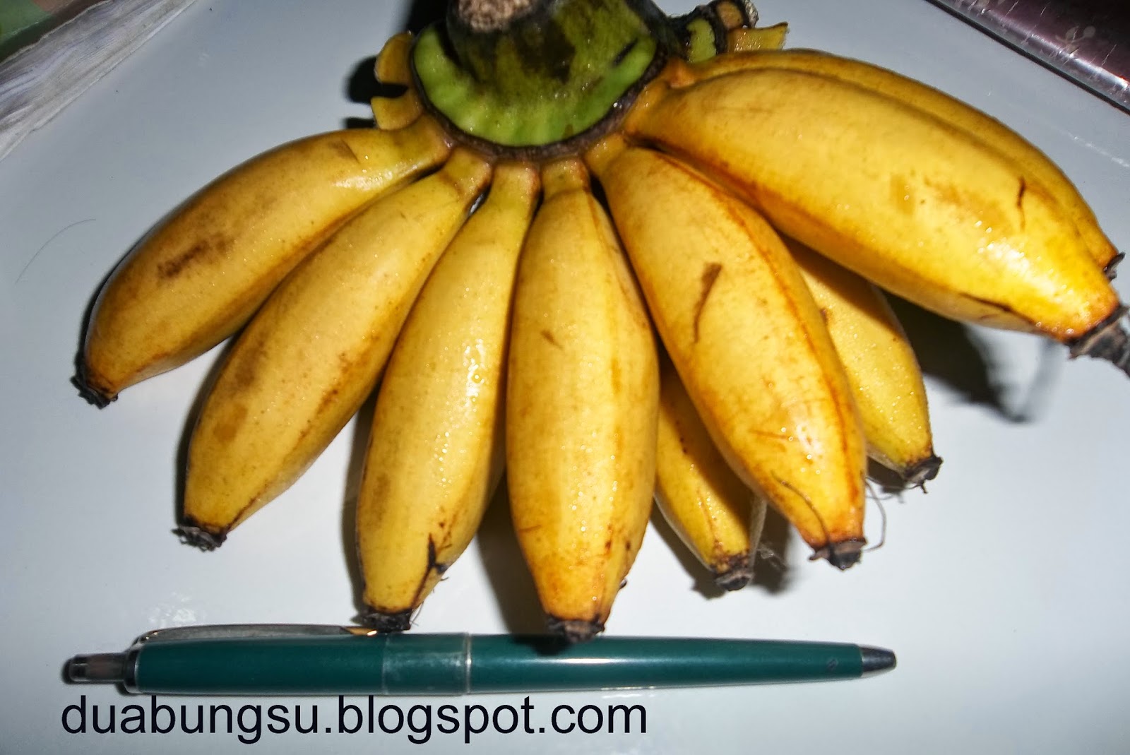 Dapurna Duabungsu, Resep Sederhana dari Dapur Sederhana: Pisang Tabur Keju