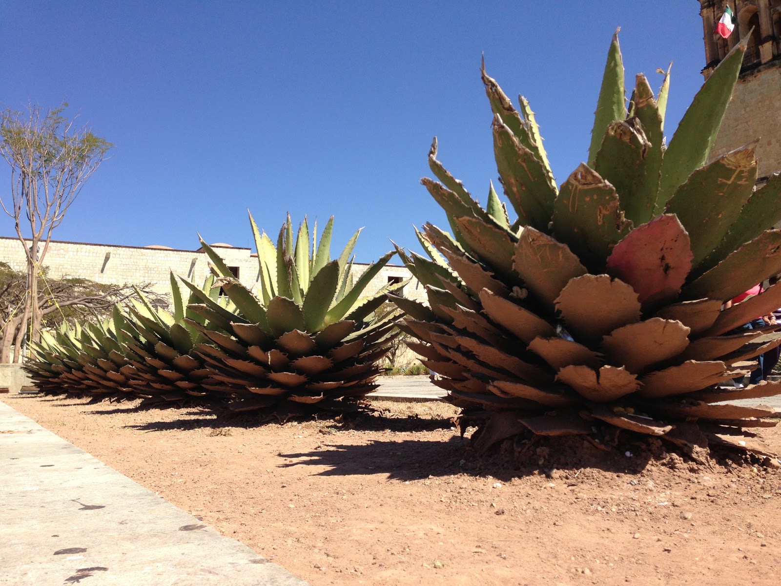 Puro Albur, güerito!: Oaxaca (léase "guajáka")