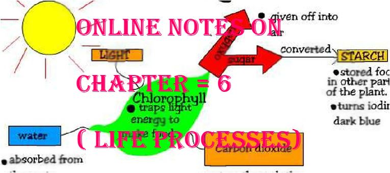 Online Notes on Chapter = 6 ( life processes) Part 3 - | Bioinformatics
