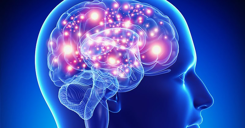 Health & Beauty Tips: Epilepsy – A Brain Disorder