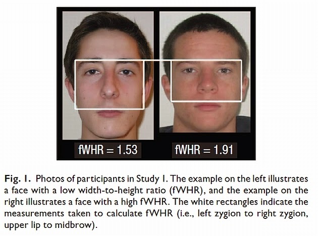 Martial Views: Looks That Kill: The Alpha-Male Face