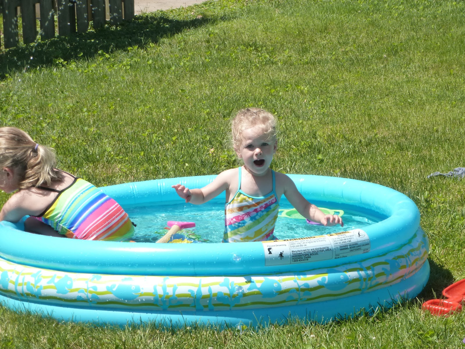 Isaacson Family: Backyard Pool
