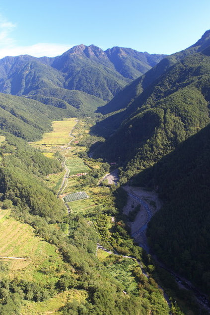 Birding Taiwan: Wuling Farm