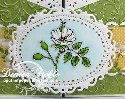 A Path of Paper: Cuttlebug Mania Fun-Fold Card