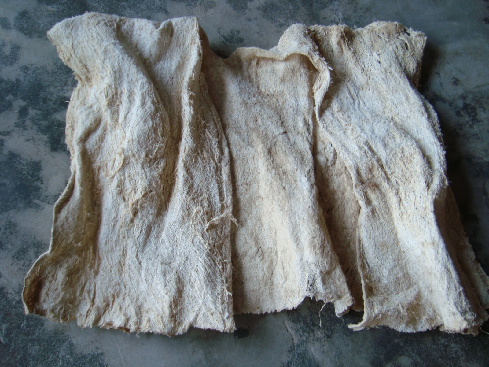 Zainatul Shuhaida: LATAR BELAKANG ORANG ASLI CHE WONG