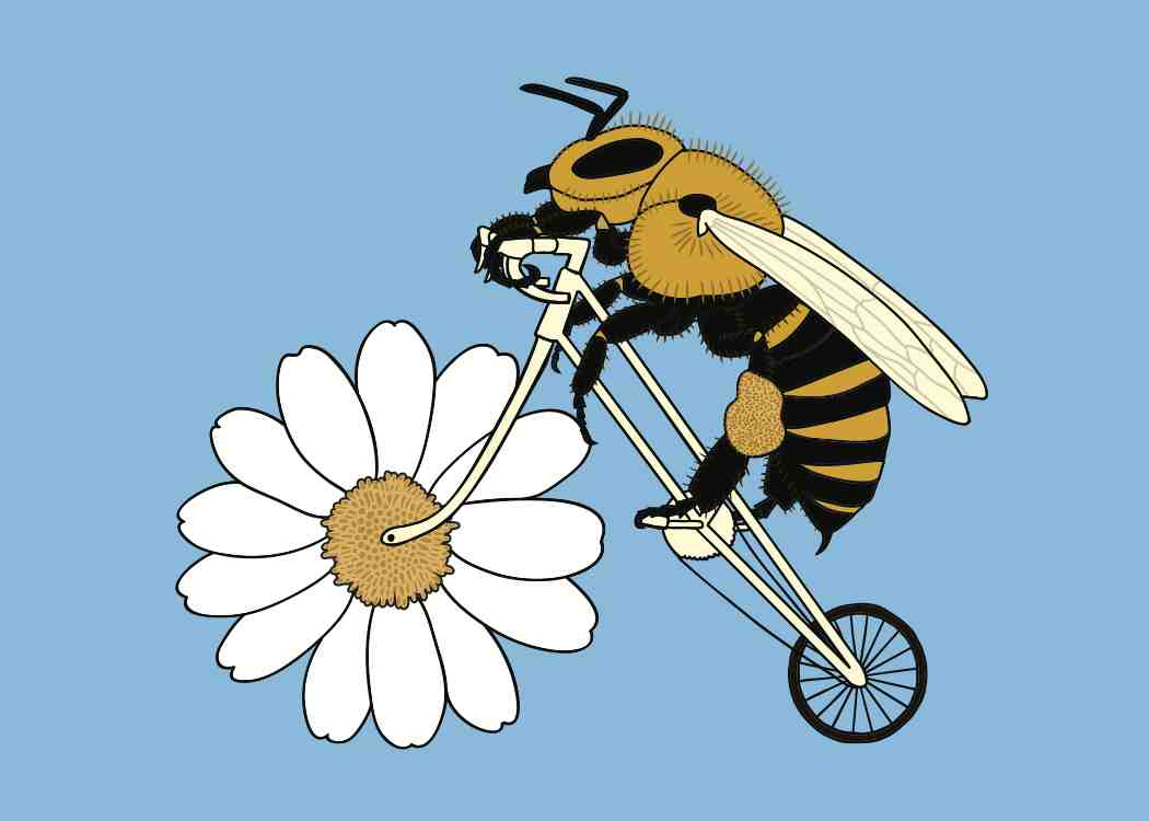 mike joos art: Bee Riding Bike With Flower Wheel