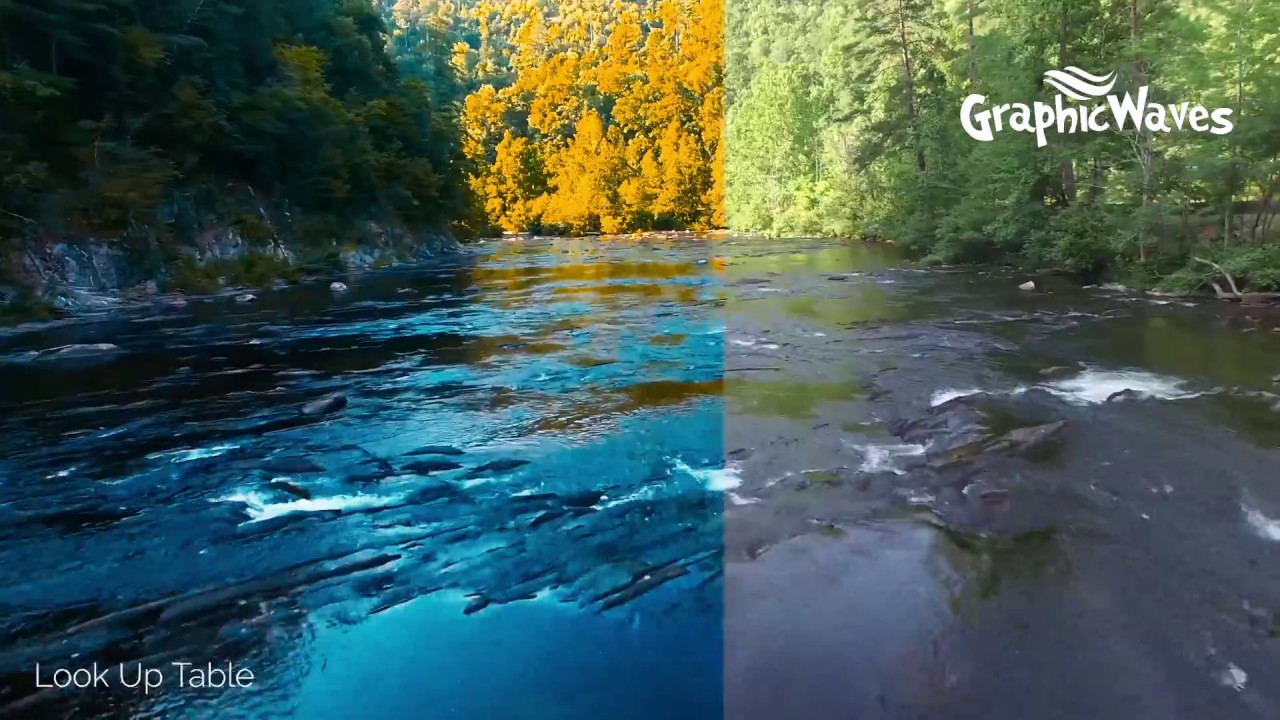 50+ High Quality HDR & LOW Contrast Luts for Premiere Pro