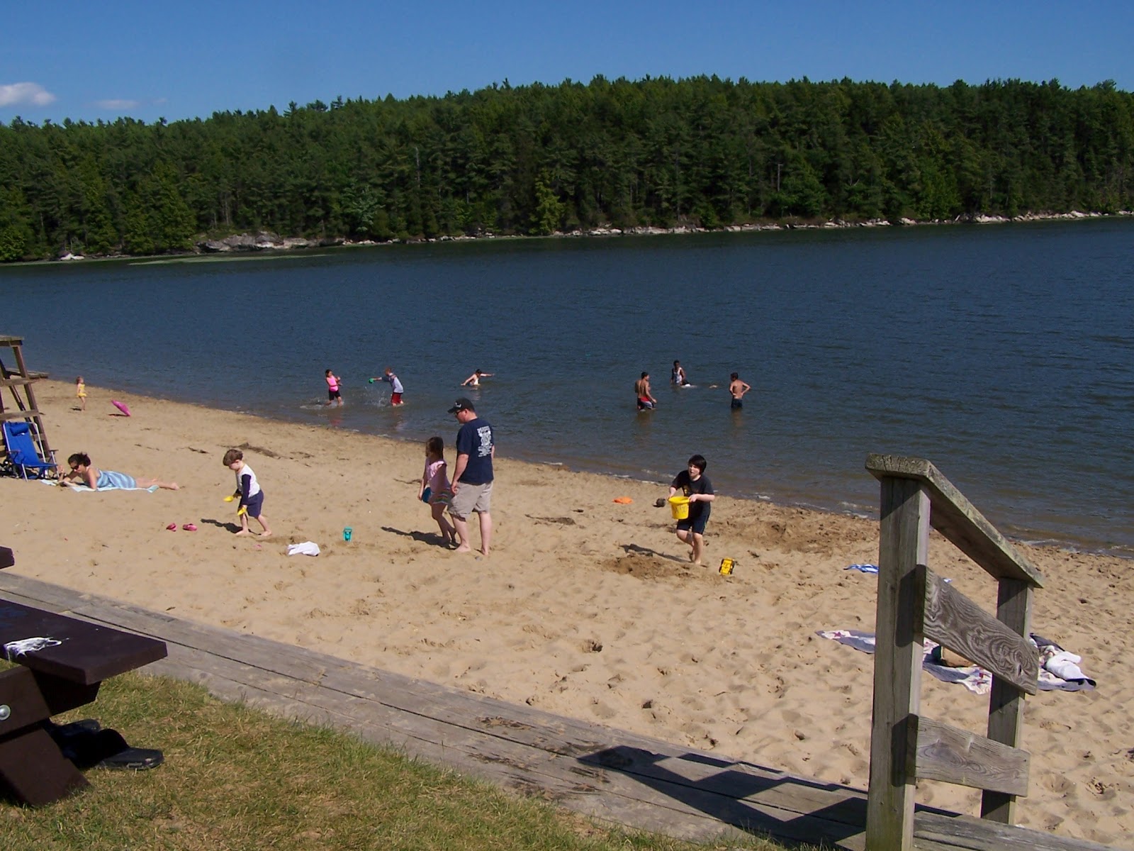 Joyful-Abundance: Horseshoe Crabs at Thomas Point Beach in Brunswick, Maine