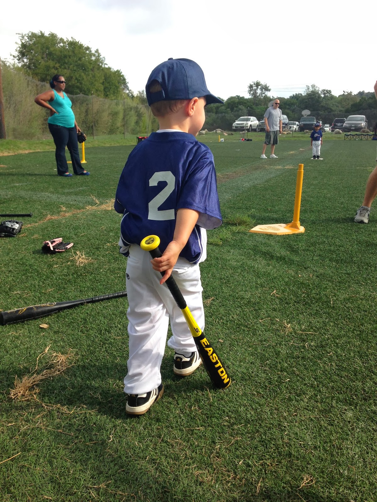 Coots in the Capital: T-Ball