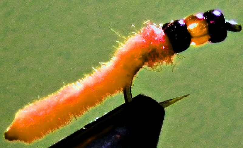 Fly Fishing In Yellowstone National Park: 10/01/2011 - 11/01/2011