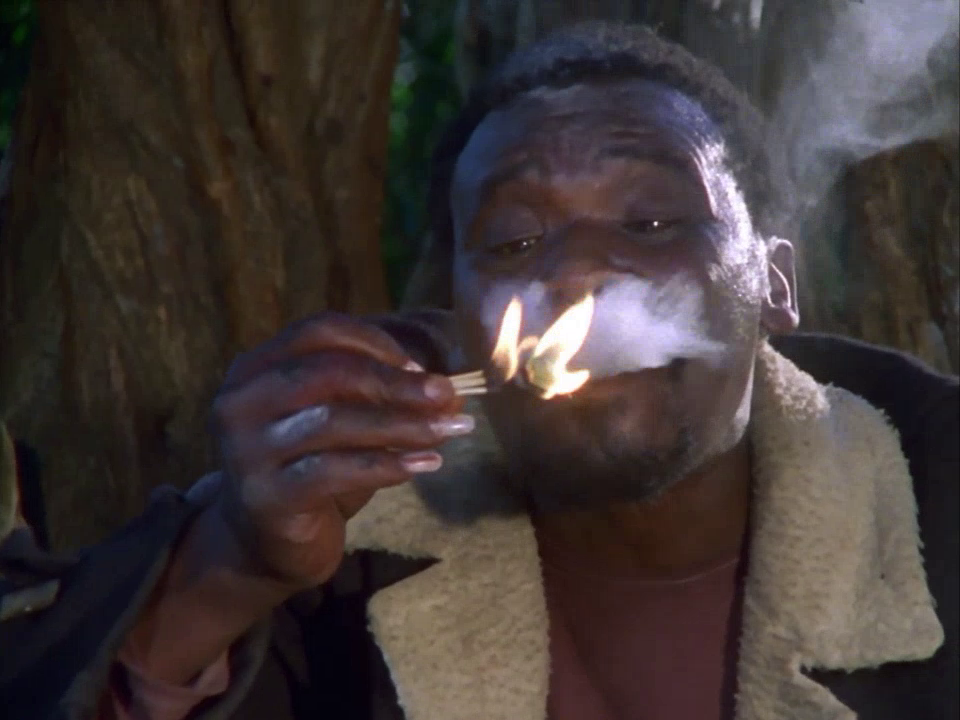 The Department of Afro American Research, Arts and Culture