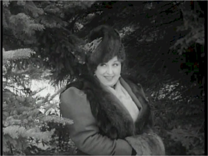 Les belles histoires des pays d'en haut: 1956 - Téléroman Personnages