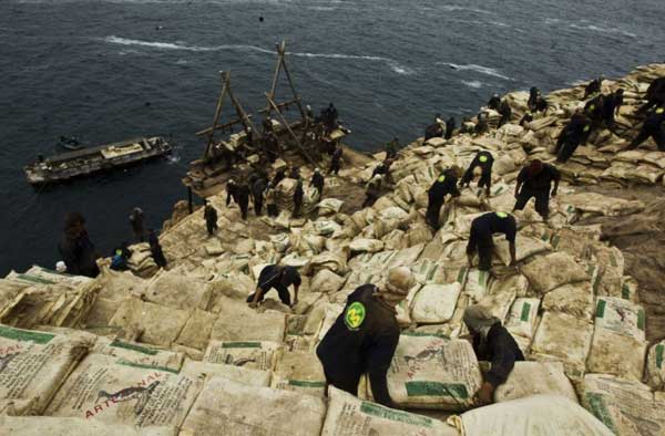 INFORMATICA: EL GUANO Y SU INDUSTRIA QUIMICA