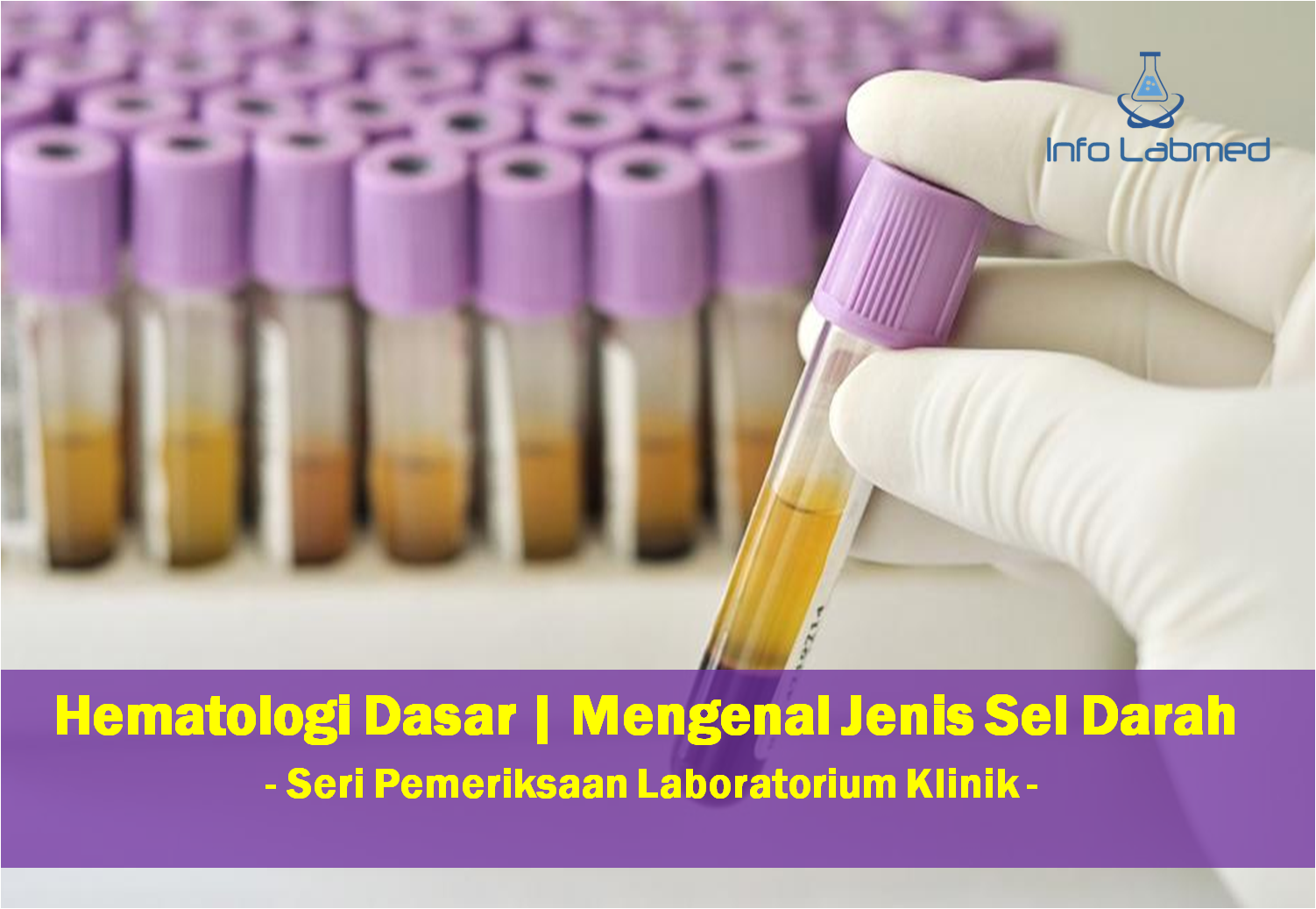 Hematologi Dasar | Mengenal Jenis Sel Darah - Seri Edukasi Teknologi ...