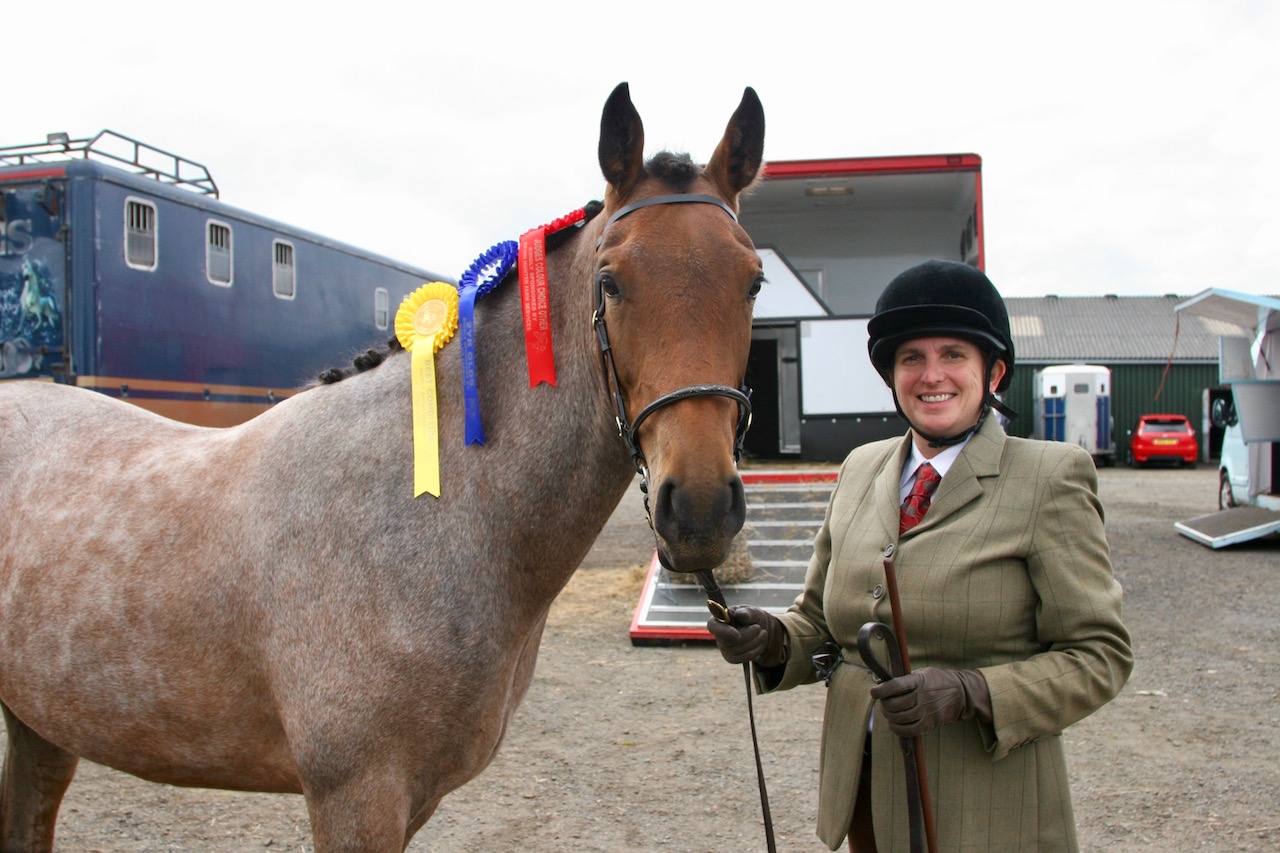 Chamfron Stud : Scottish Appaloosa Show - Chamfron Chaco