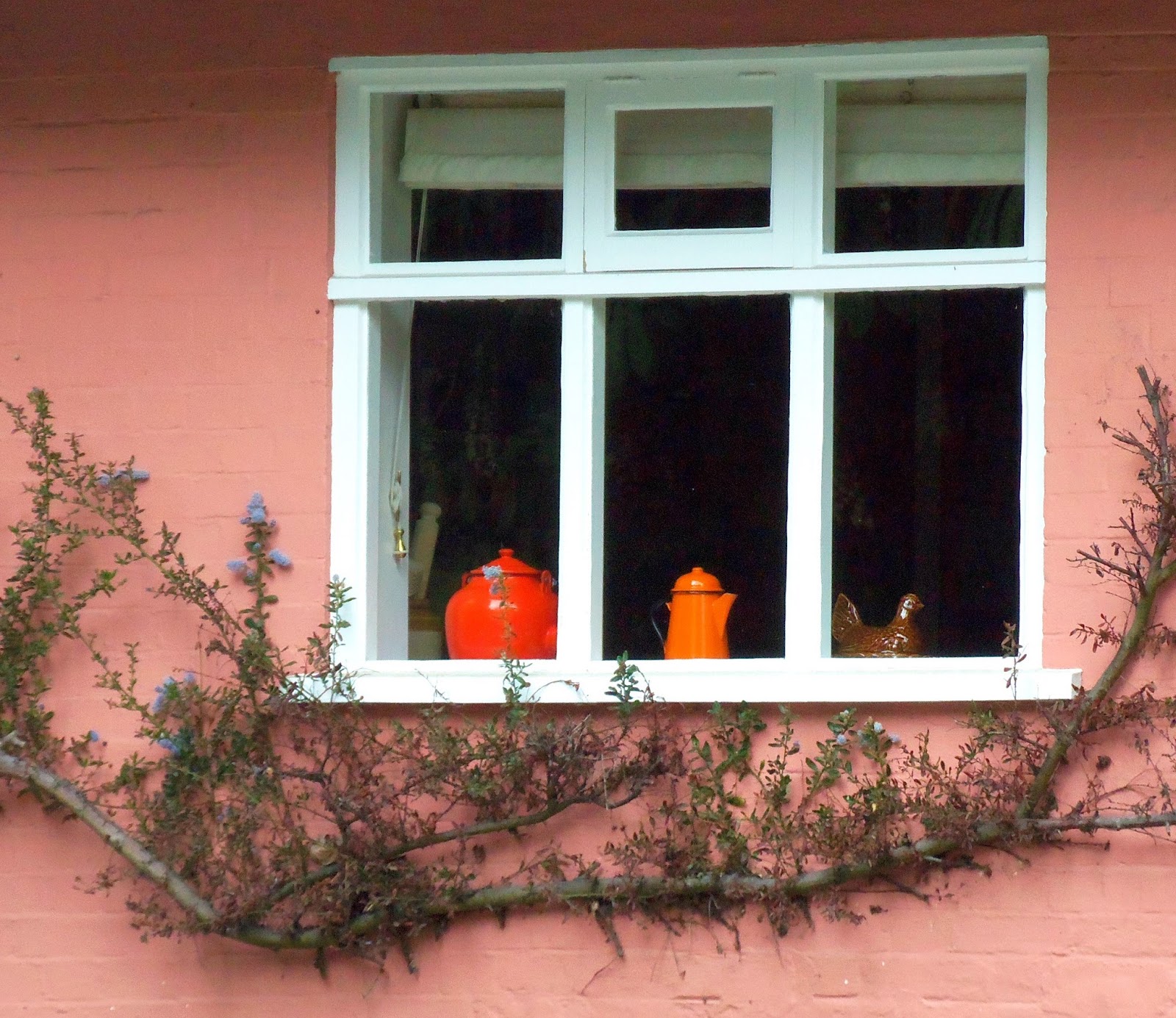 animum advertere: Peeking through the Windows