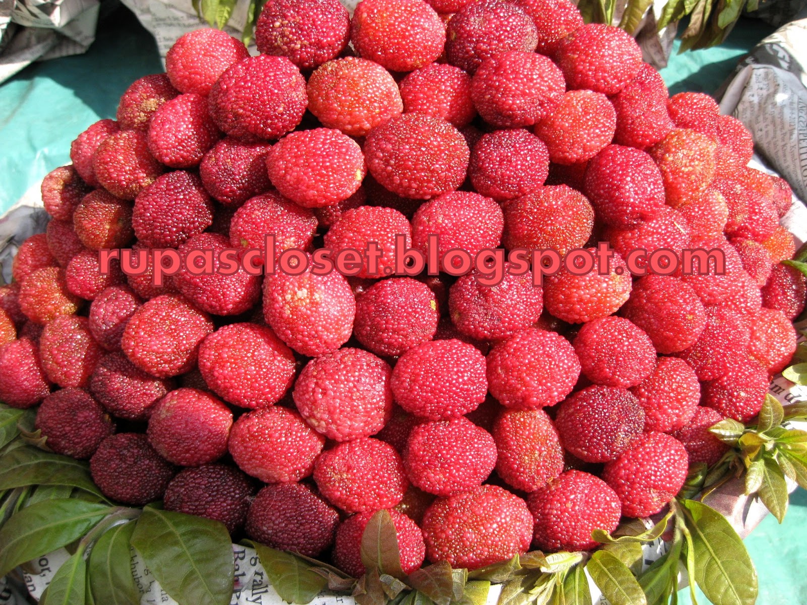 Feelings: Nartiang, Jaintia Hills