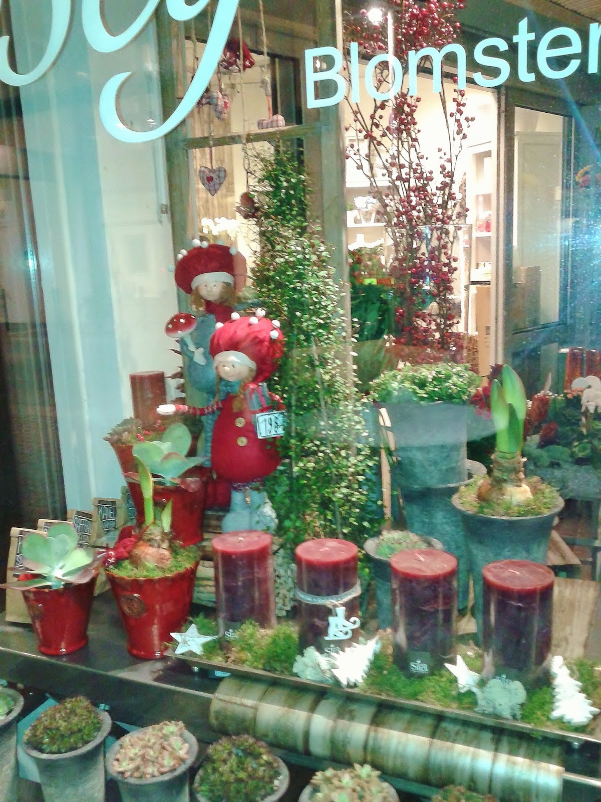 dagsmeja: Julskyltning på Beyers Blommor
