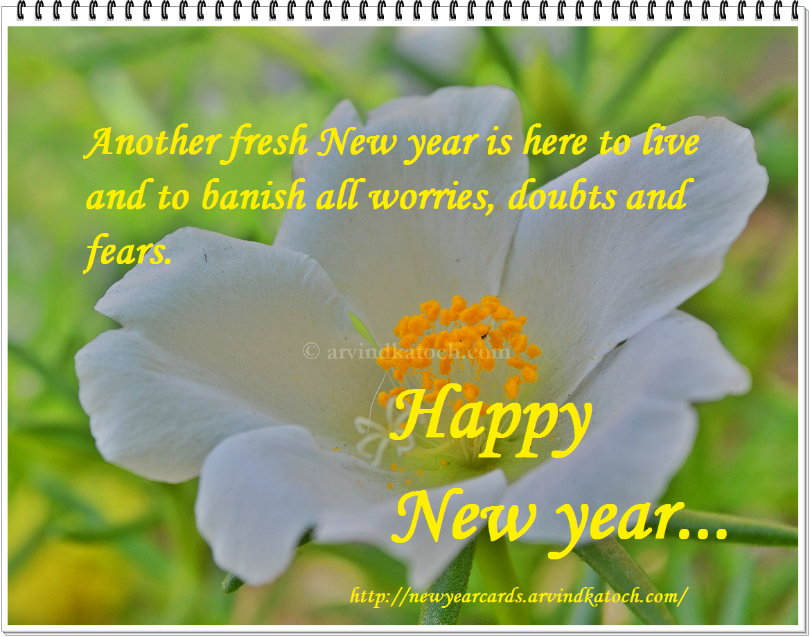 HD True Pic New Year Cards 2023: Another fresh New Year is here to love ...