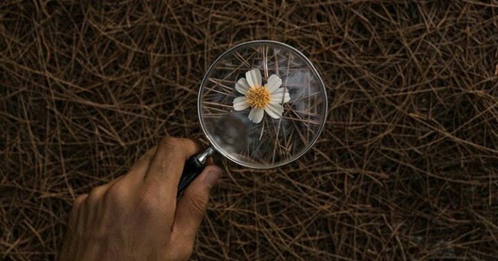 Con zancos y de puntillas: CEGUERA TRANSITORIA