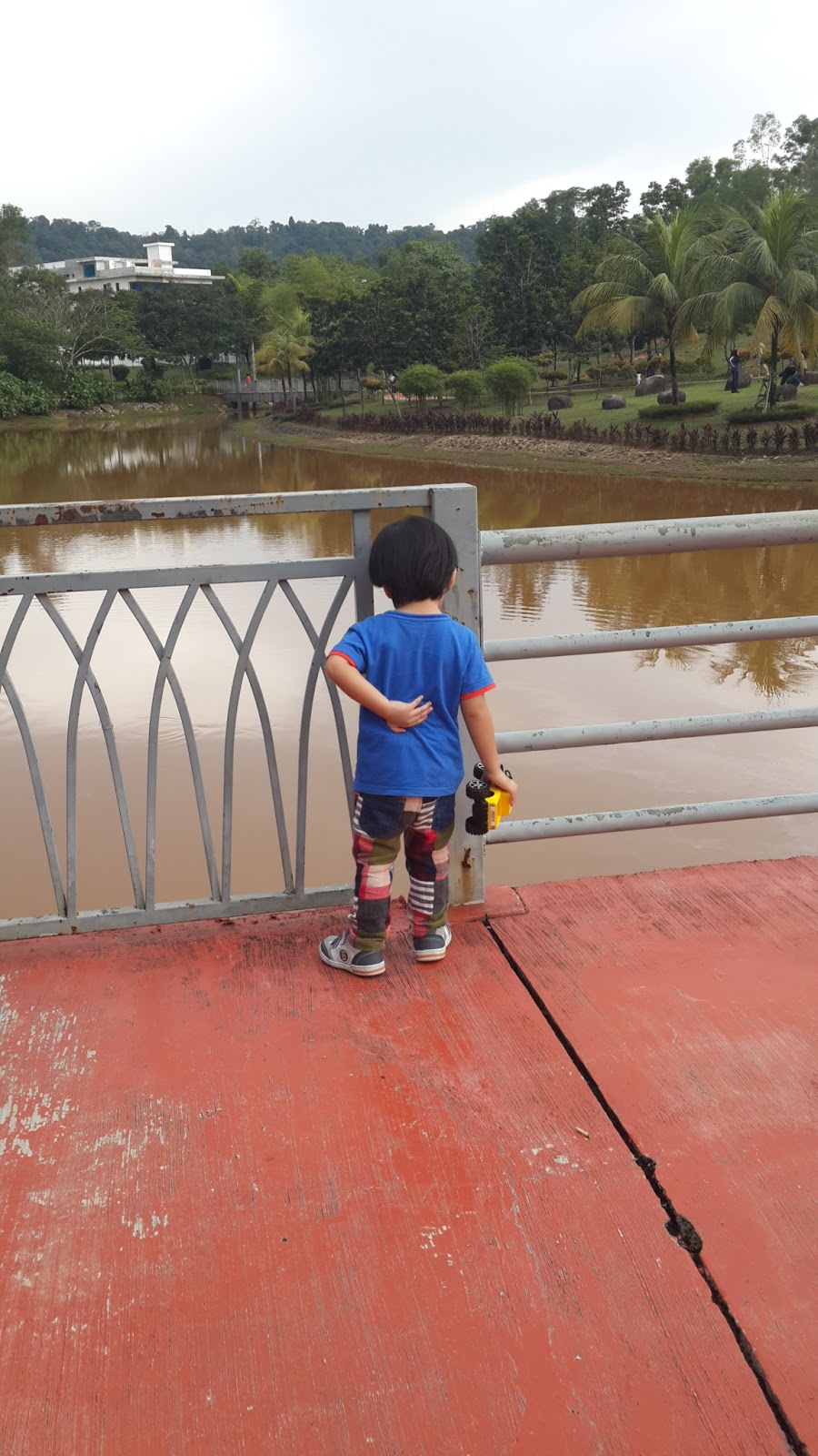 Taman Riang Ria, Kota Damansara ~ A Beginning Of Life