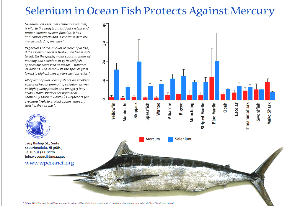 Mercury In Fish - Why Is There Mercury In Fish