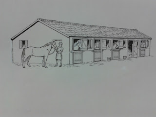 DAN Community Ltd.: Condate - Roman Northwich