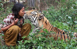 Free to choose: The man who has tiger Friend