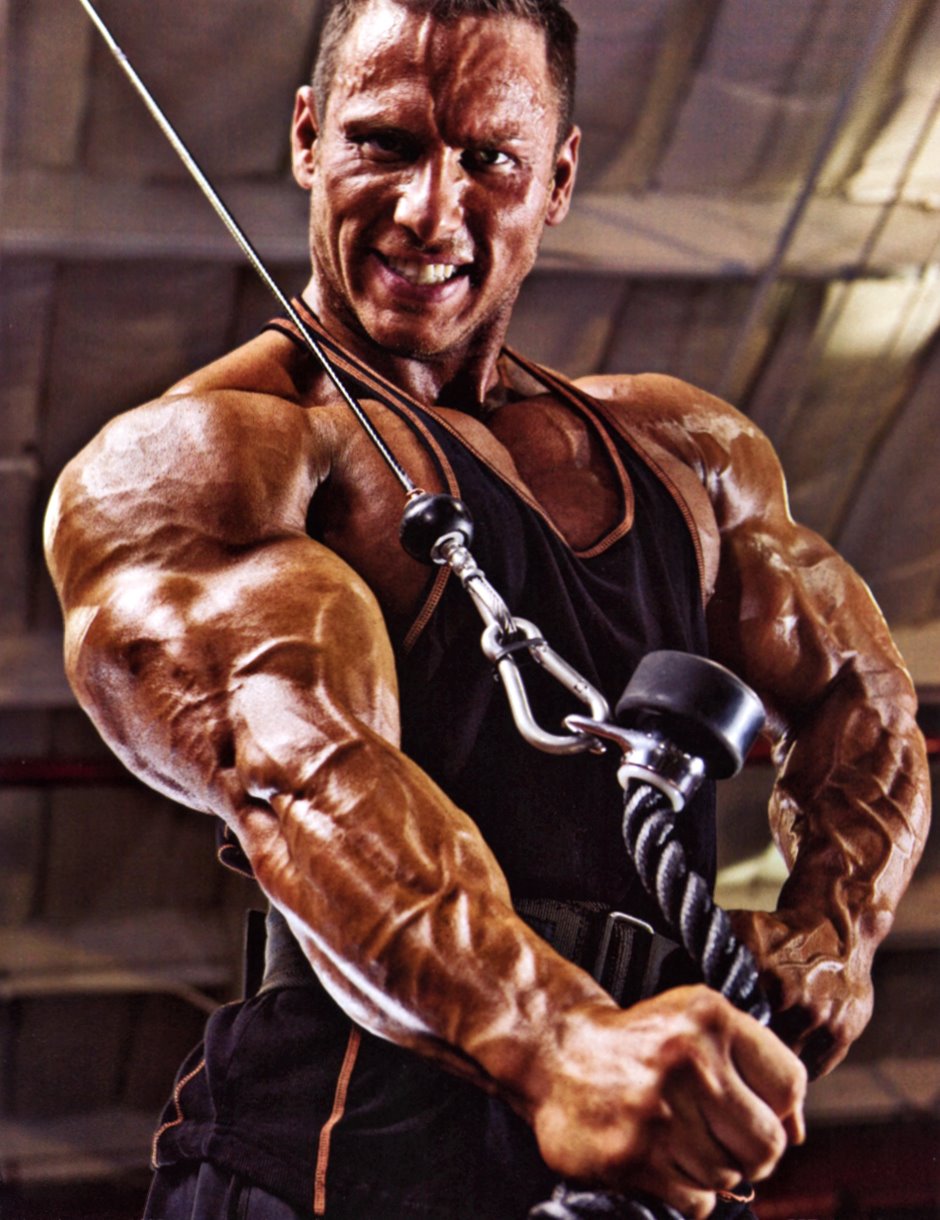 Knights of Bodybuilding: MICHAEL LIBERATORE