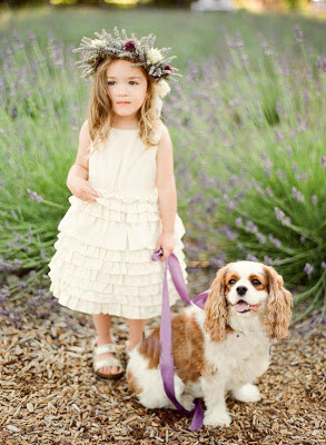 Lily Griffiths Blog: Mon chien au mariage ! My dog in wedding.