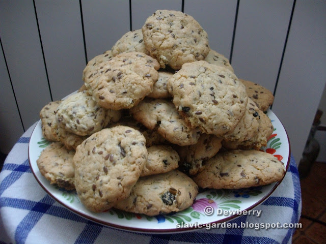 Slavic Garden - Słowiański Ogród: Narcissus 'Tete a Tete' and linseed ...