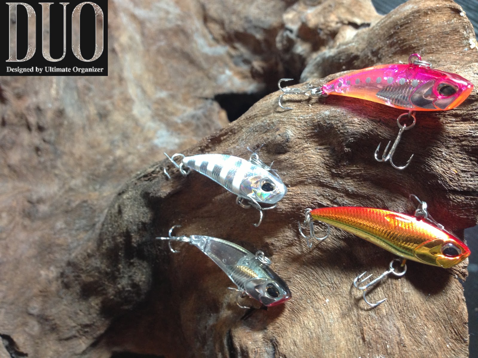 The Fish Cure: A Taste Of DUO Realis