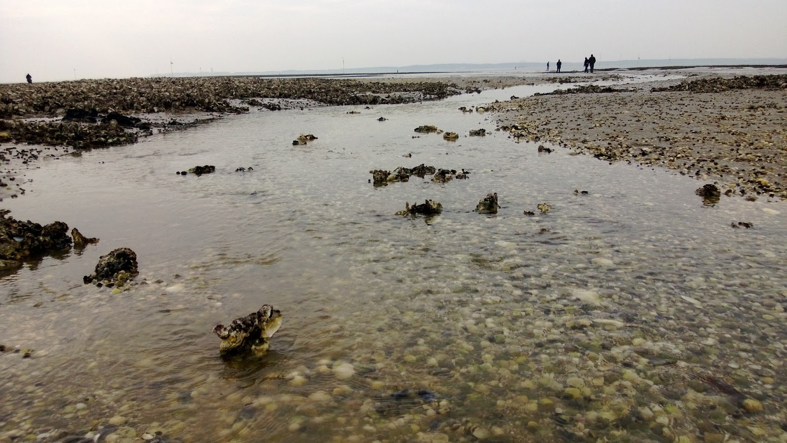Just a feeling !: Droogvallen Waddenzee