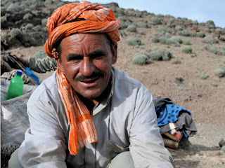 Suitcase and World: Berber.