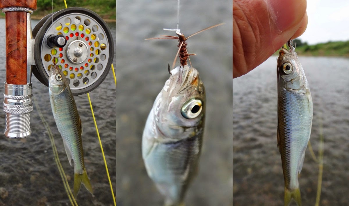 It's Tokyo Style: Oikawa fishing