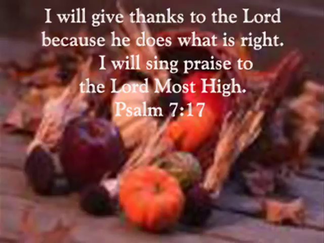 Everyday Thankfulness: Psalm 7:17