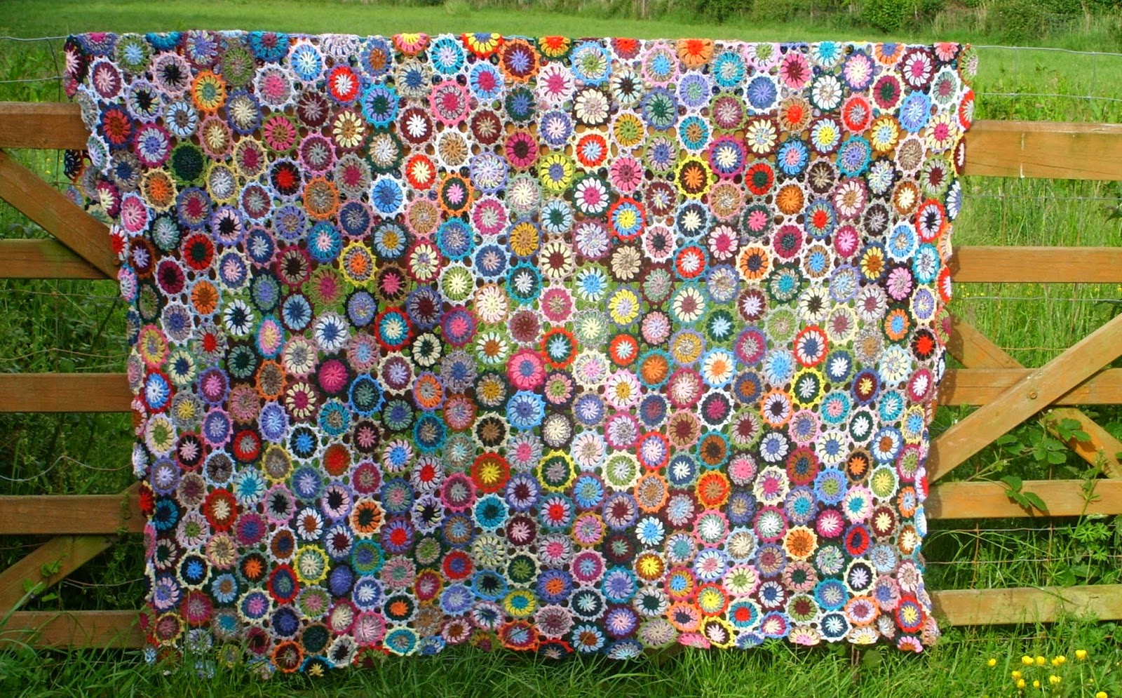 Crafting with dogs: Hundreds of crochet flowers