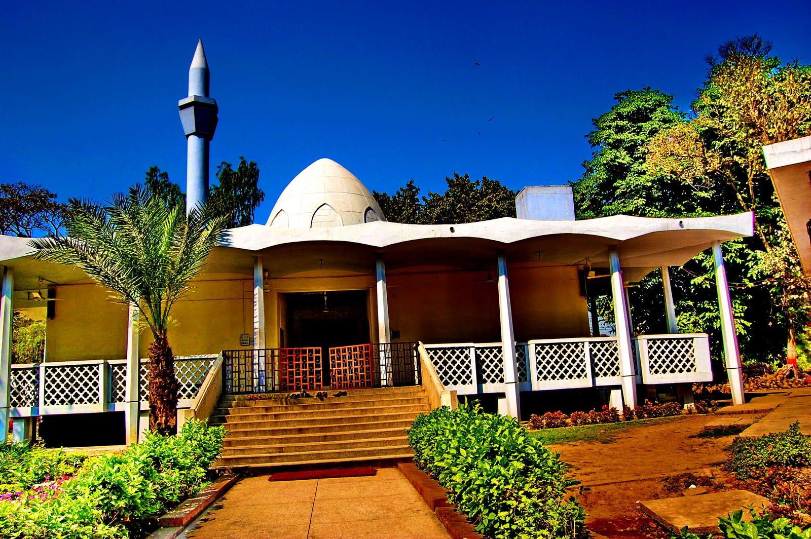 Photography of Pakistan: Some of my photographs, taken at GC university ...