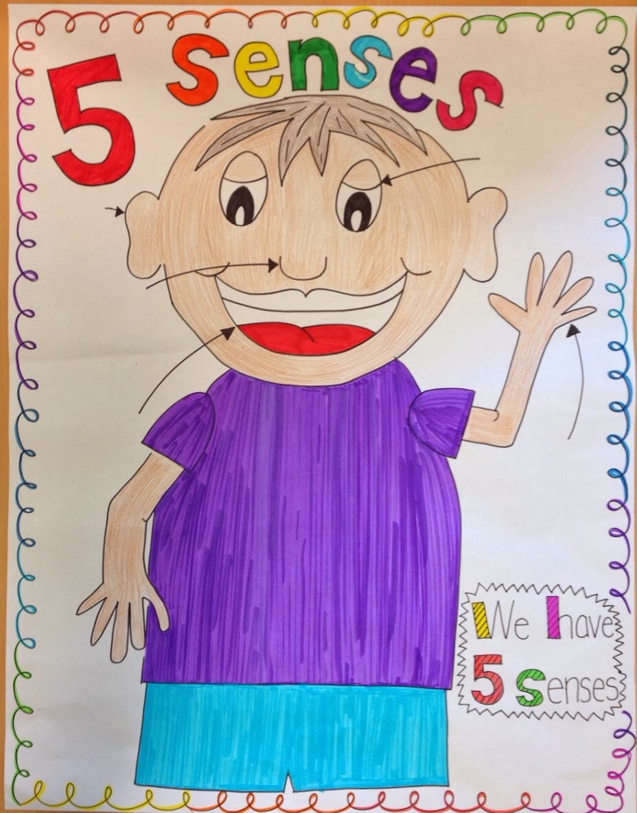 5 Senses Chart For Kindergarten