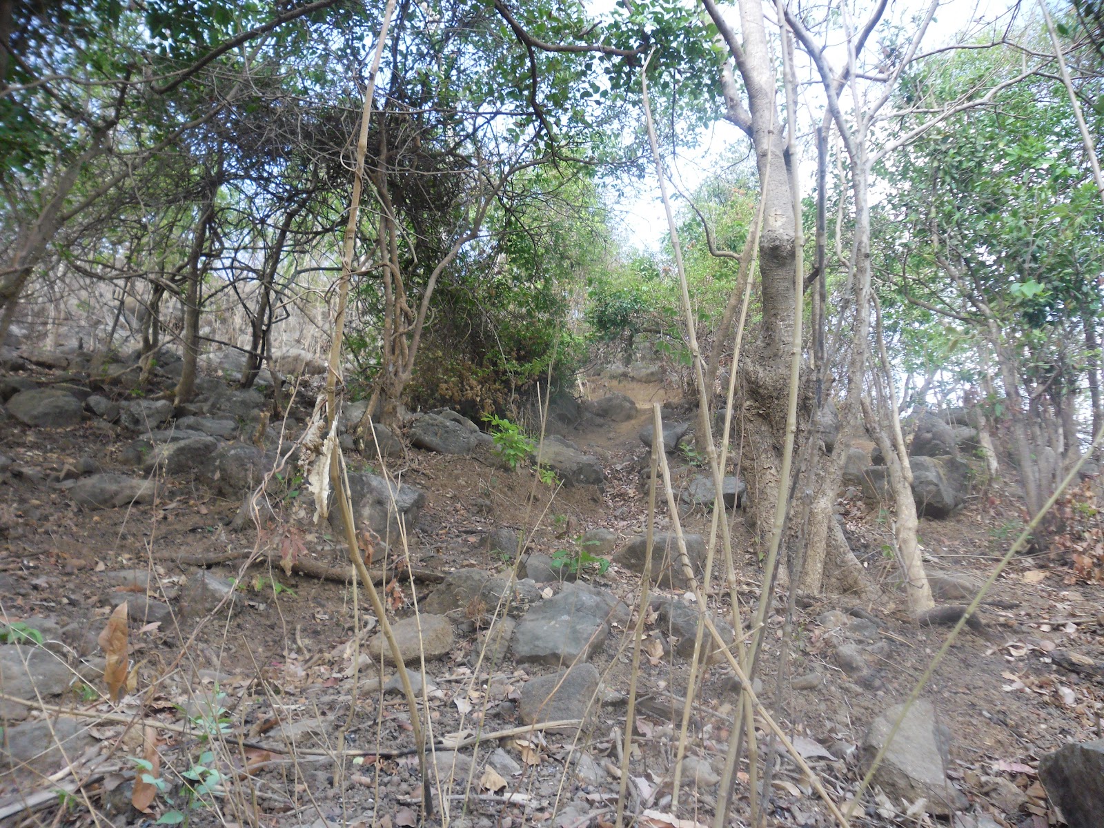 Weekend Wanderer a blog by Aashish Chawla: Trek to Kaldurg Fort, Palghar