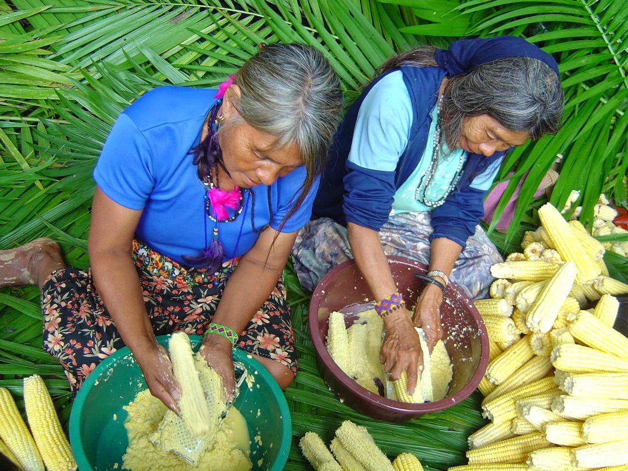 Crónicas de la Tierra sin Mal : Mbyta, tradicional comida mbya guaraní