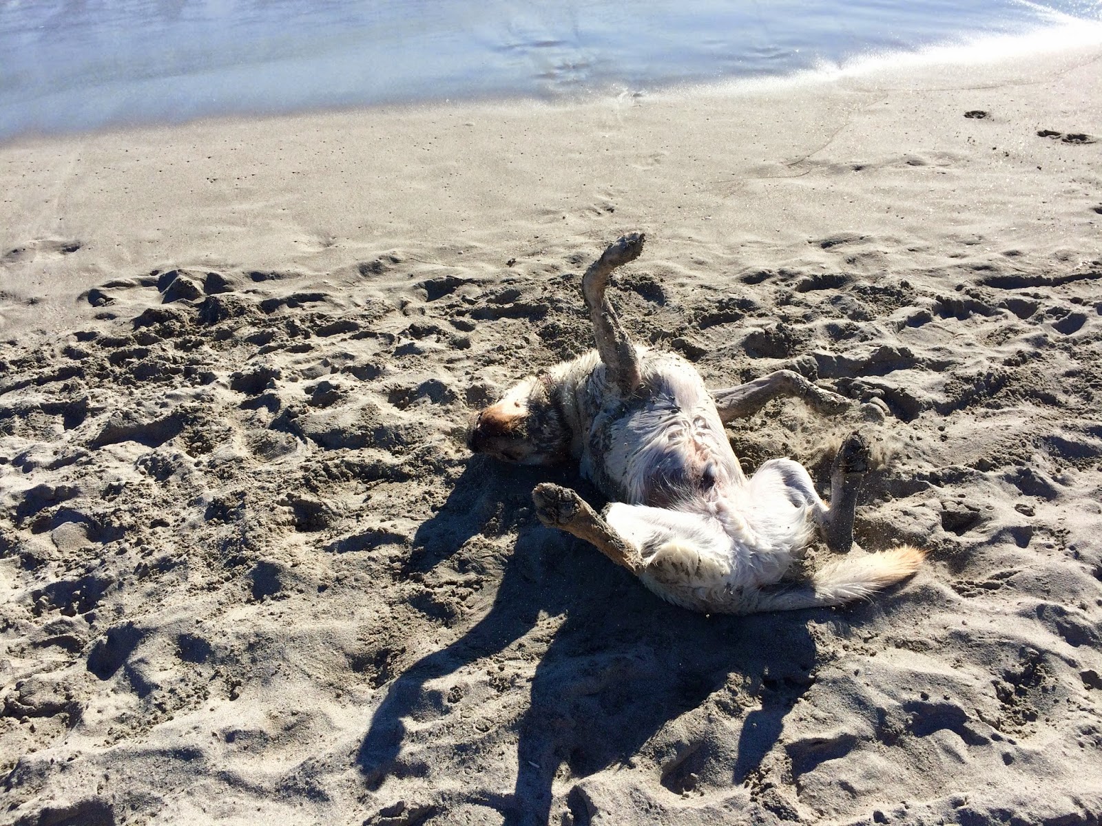 Siin me oleme...: Talve selgroog murtud