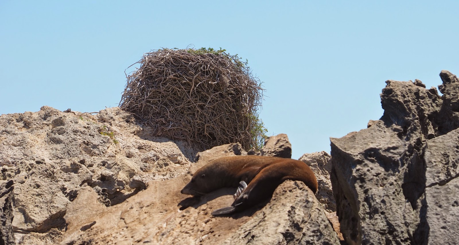 TravelSkite: Rotto day