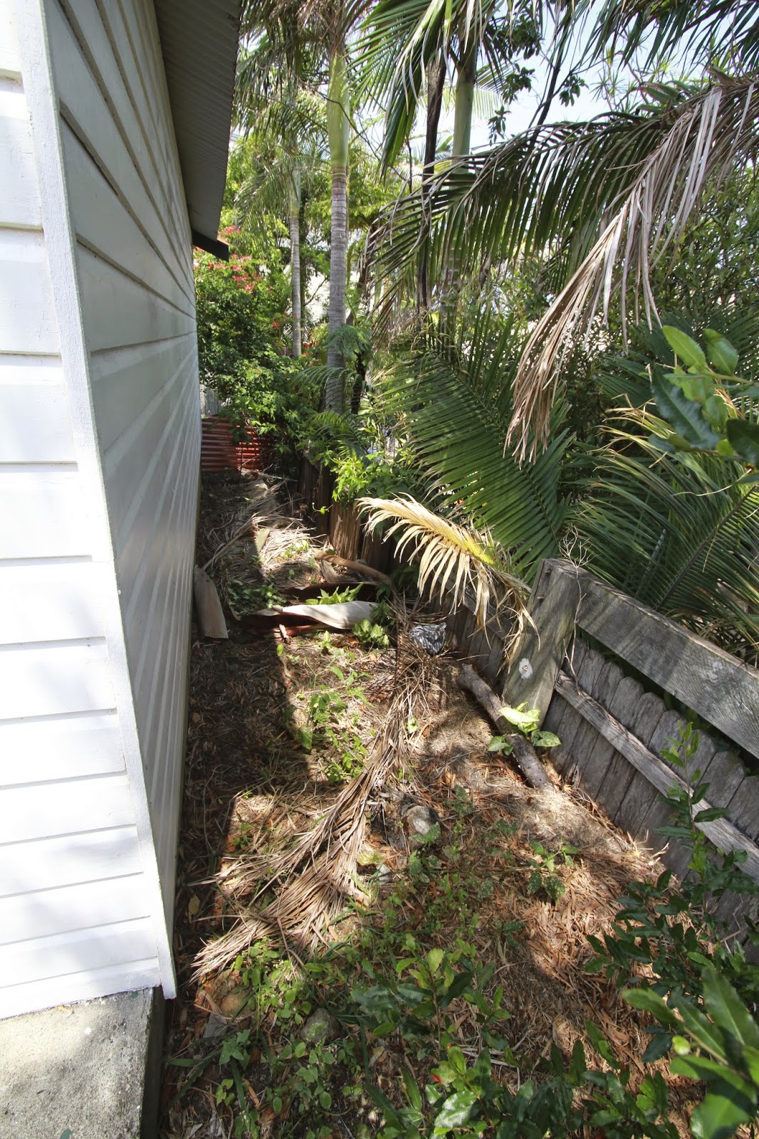 Renovating a Queenslander: Landscaping / Fencing