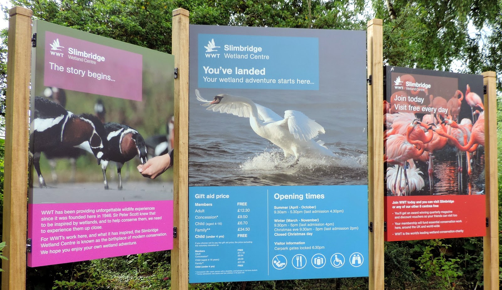 The Glebe Blog: Slimbridge Wetland Centre