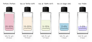 Fragrance Strength Hierarchy