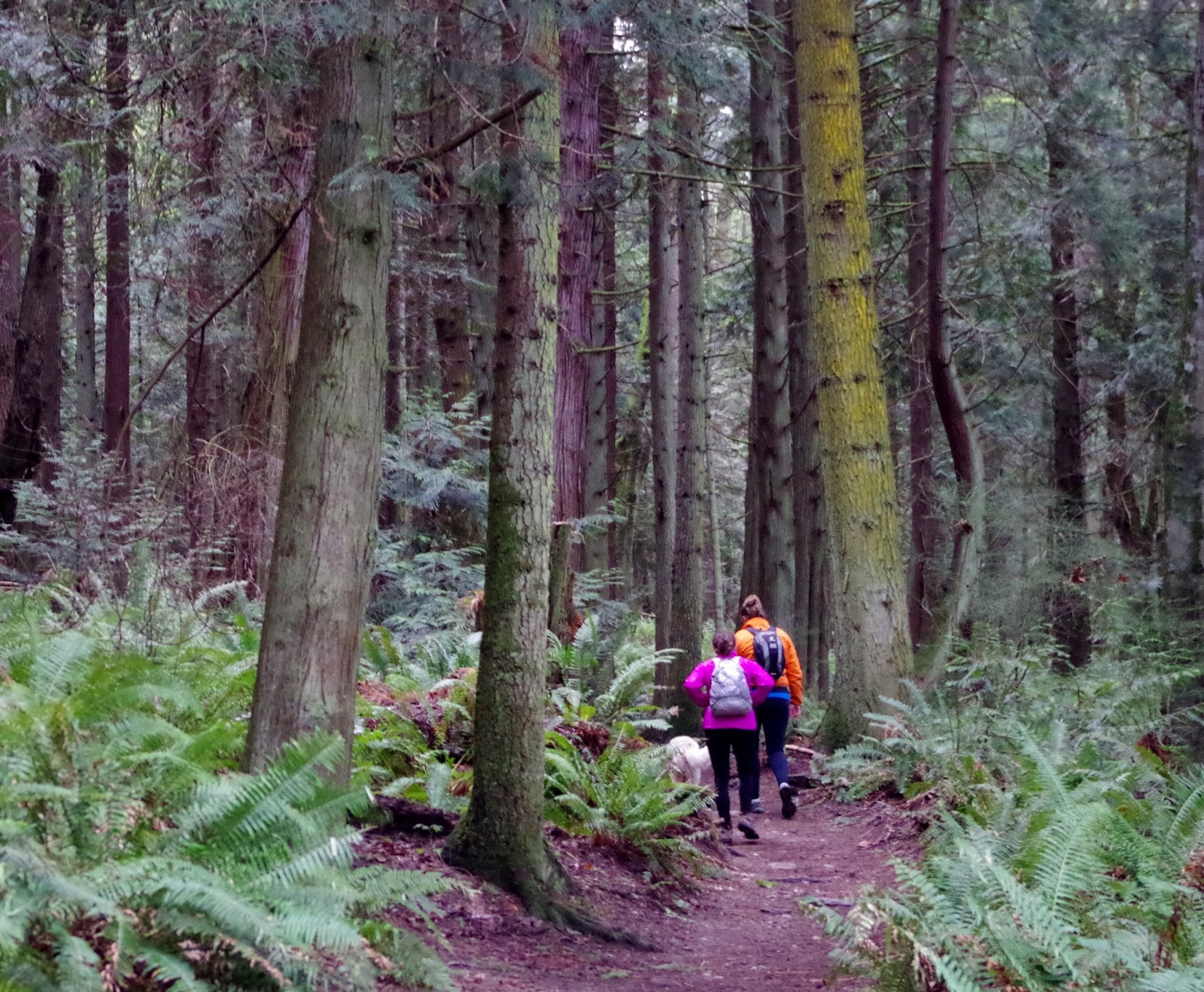 Pacific Northwest Seasons: Hiking Larrabee State Park: Fragrance Lake