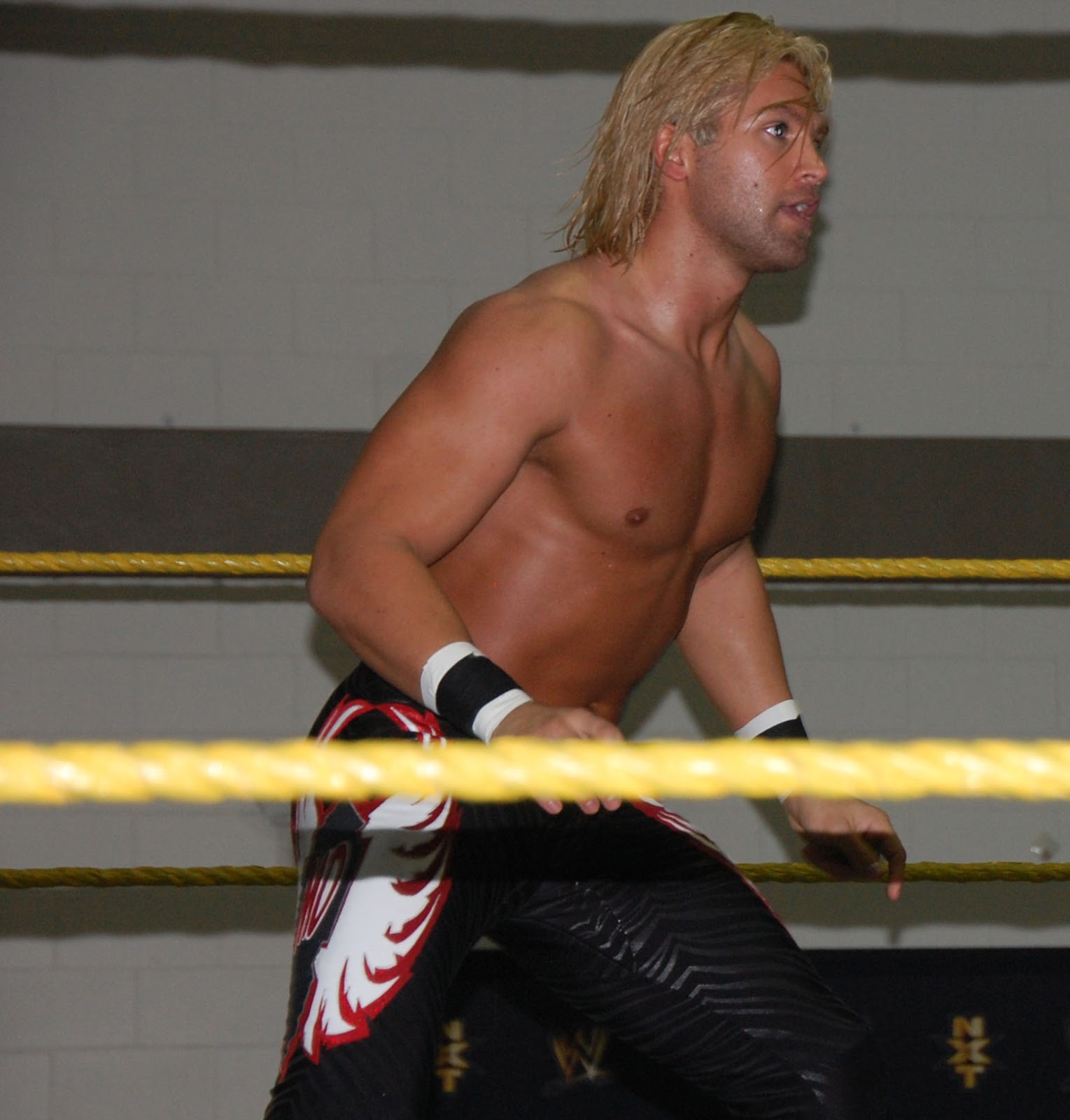 Beefcakes of Wrestling: I'm Dreaming Of A Grey Christmas